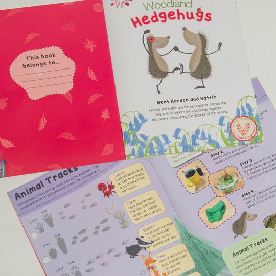 Hedgehugs 'Woodlands' Children's Activity Book